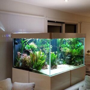 +20 Ideas de peceras elegantes para decorar tus espacios - 1 MILLON IDEAS
